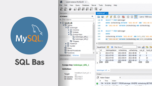 Grunderna i databaser och SQL, Learnesy